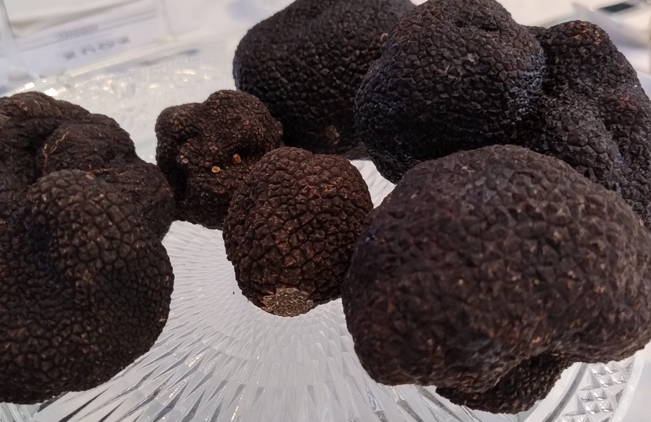 Agustín Lagos, el pionero de las trufas argentinas – Rincon Bon Vivant