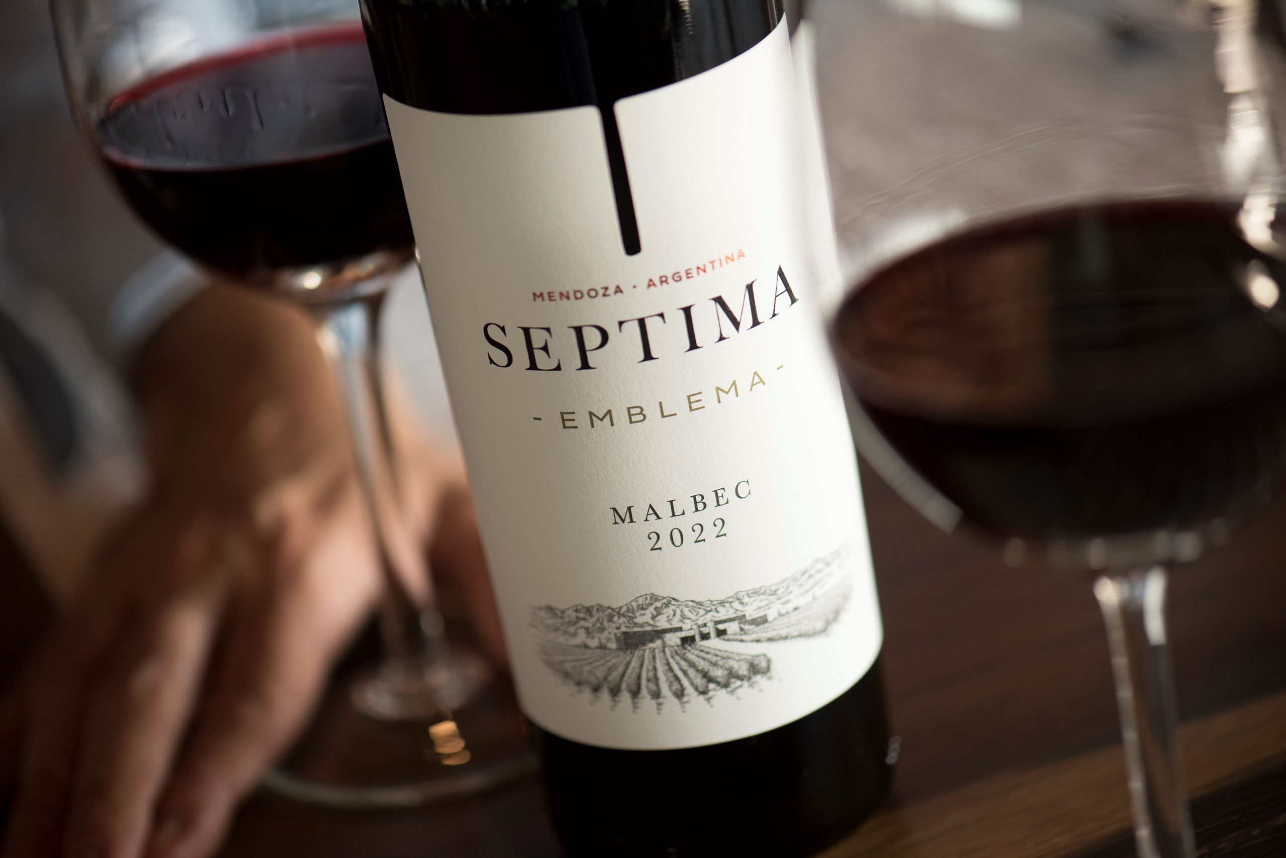 Séptima Emblema estrena nueva imagen – Rincon Bon Vivant