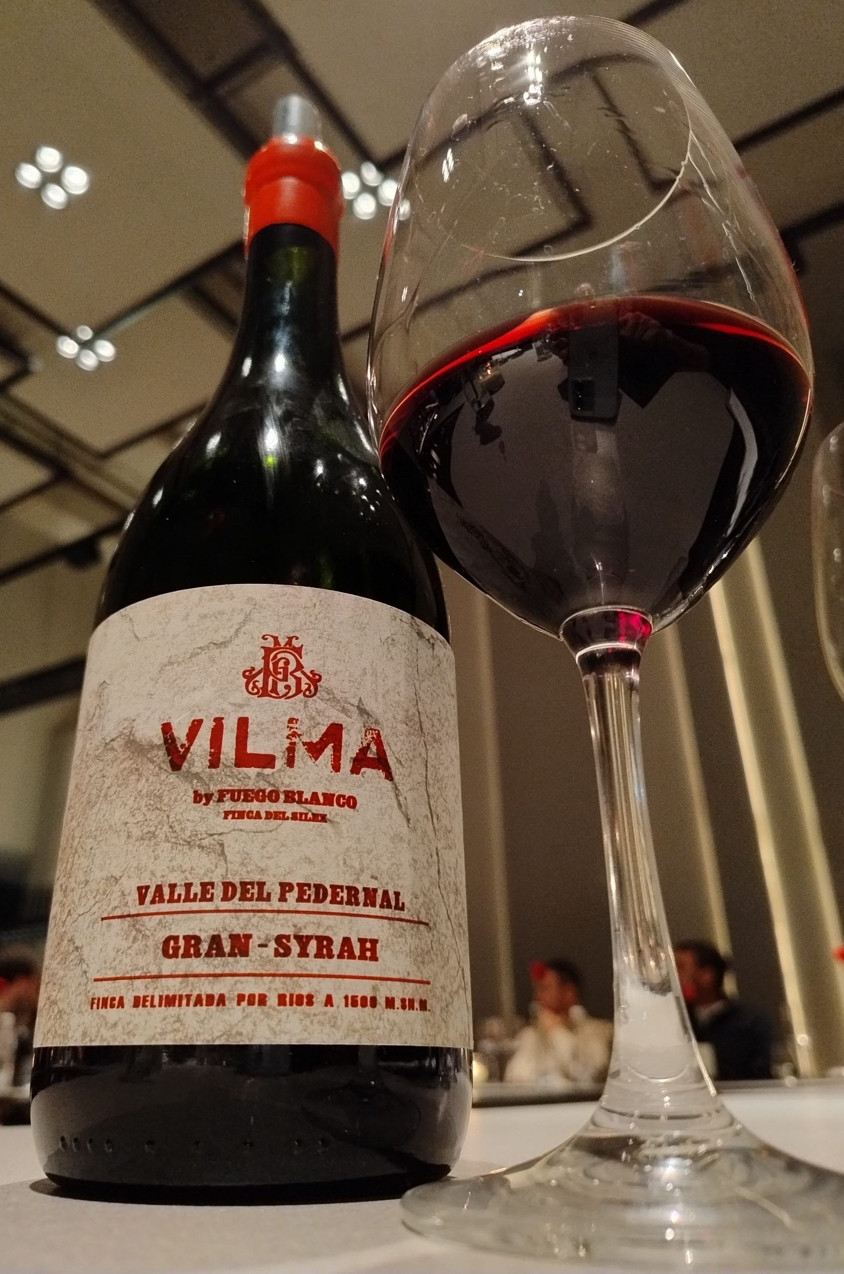 Fuego Blanco Vilma Gran Syrah, fiel exponente del Valle de Pedernal ...