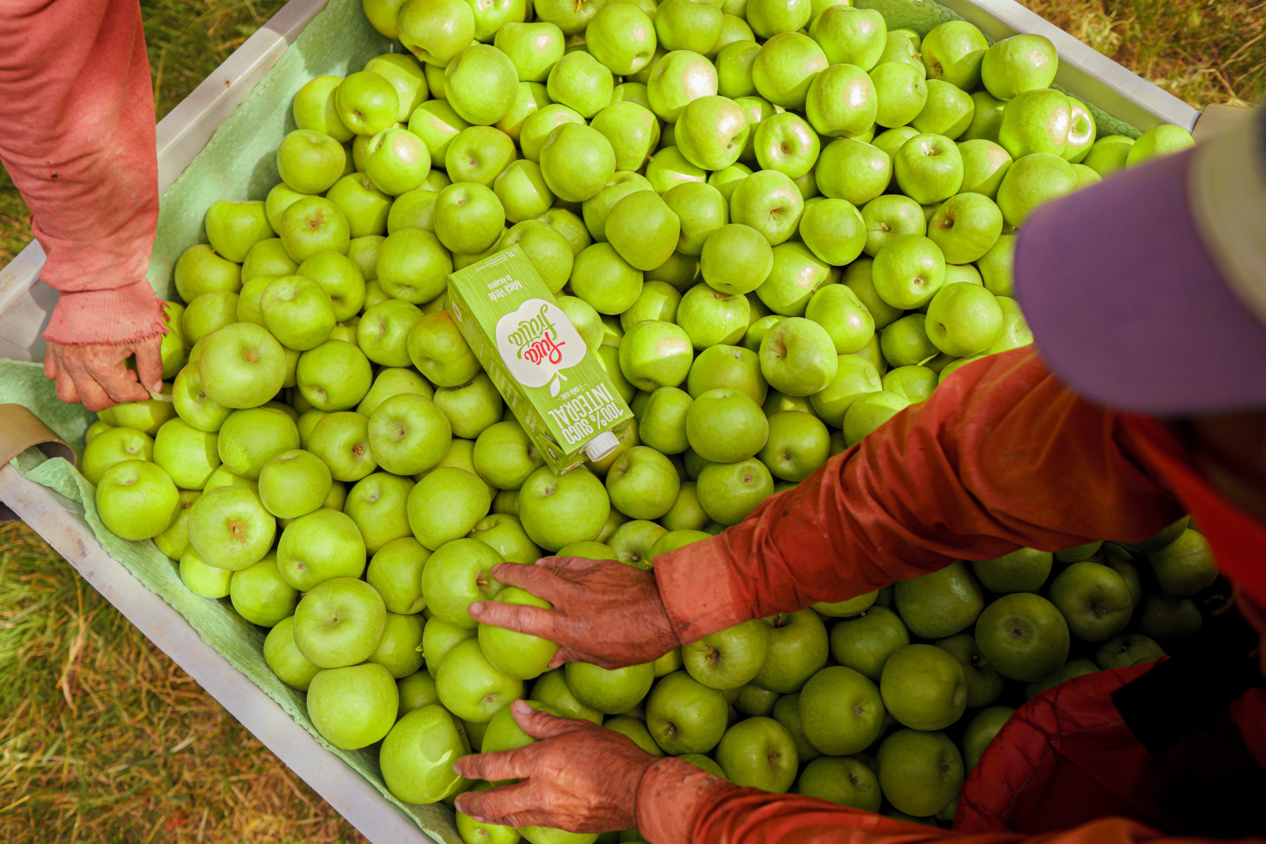 Pura Frutta, 10 años elaborando jugos naturales – Rincon Bon Vivant