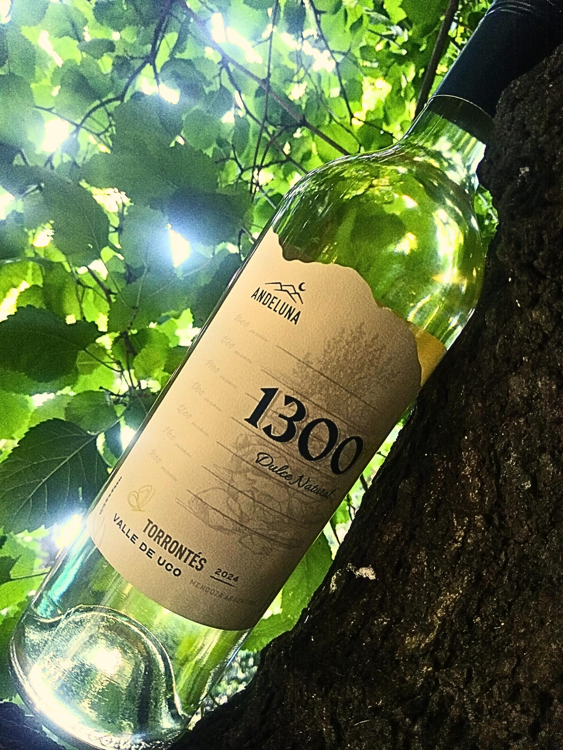 1300 Torrontés Dulce Natural, primer vino bajo en alcohol de Andeluna ...